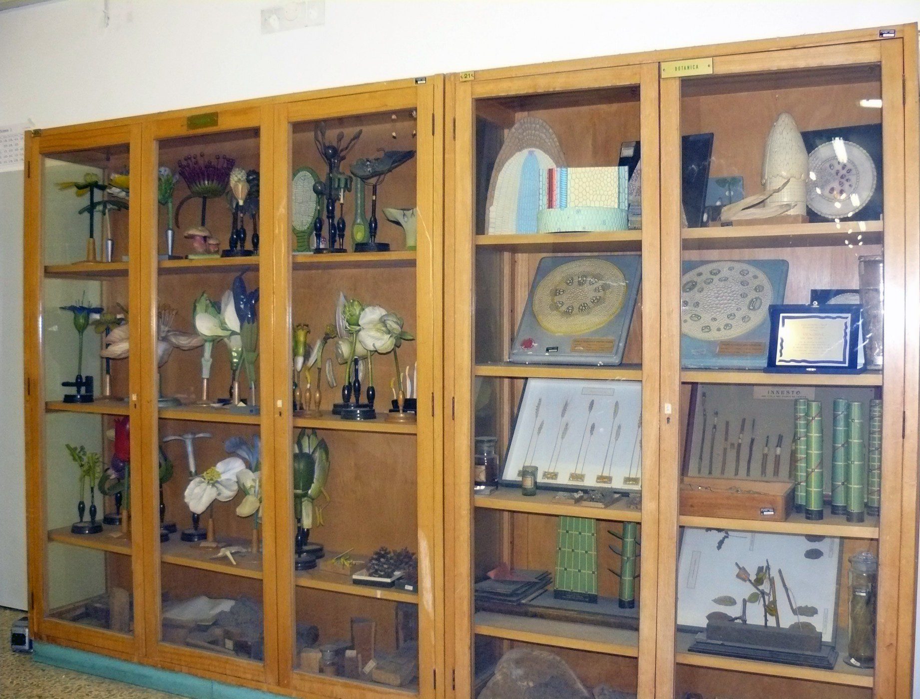 Museo – Liceo Scientifico Leonardo da Vinci di Firenze